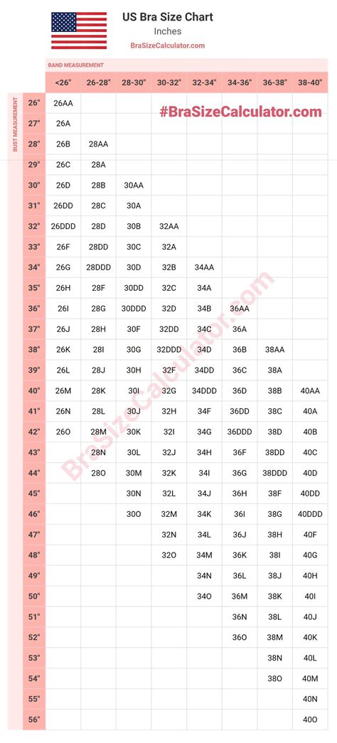 Us Bra Size Chart Band Cup And Measurement Guide