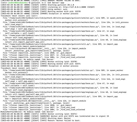 Flaskgunicorn Issue Rflask