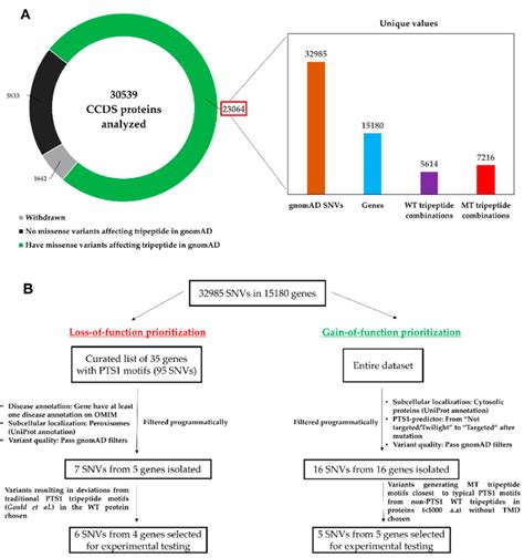 Overall Bioinformatics Workflow For The Mining Of Sequence Variation Download Scientific