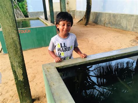 Sanath Wickramasinghe