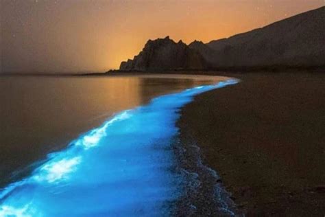 ساحل شب تاب؛ تستچی