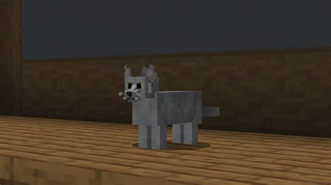 Better Cats Chats Réalistes Et Variés Pack De Texture Minecraft 1