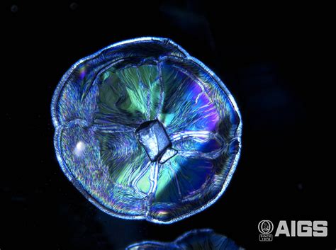 Inclusions In Sapphire In Ruby Inclusions In Sapphire Inclusions In Emerald Inclusion In