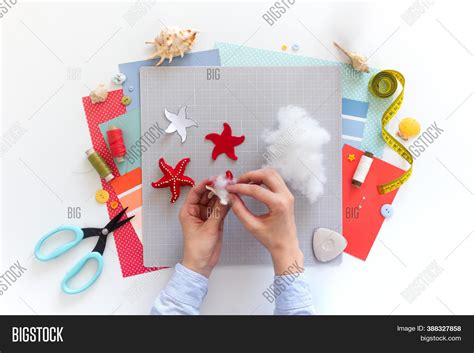 Diy Instruction Step Image Photo Free Trial Bigstock