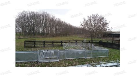 Sheep Sorting System 0001