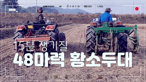 논 쟁기질 15분컷 논잡초 올망대 잡기 프로젝트 쟁기 작업 Youtube
