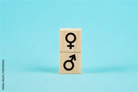 Male And Female Symbols Female And Male Signs Gender Concept Wooden