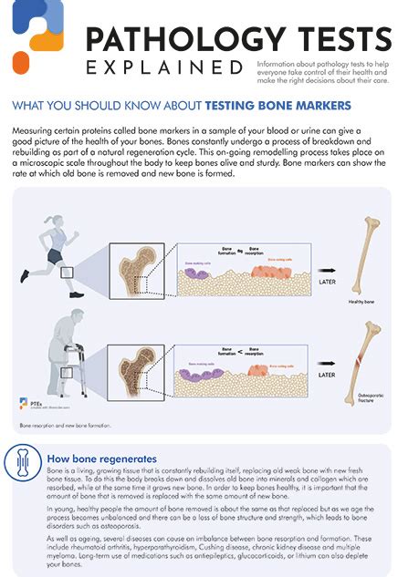 Bone Markers Pathology Tests Explained