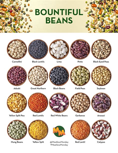 List All Types Of Beans The Ultimate List Of Rajma Varieties In Indian