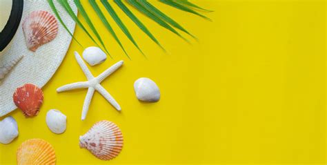 여름철과 휴가 컬렉션 컨셉의 디자인을위한 모자와 녹색 자연 열대 잎이있는 노란색 파스텔 색상 파노라마 배경에 바다 조개껍질의 톱