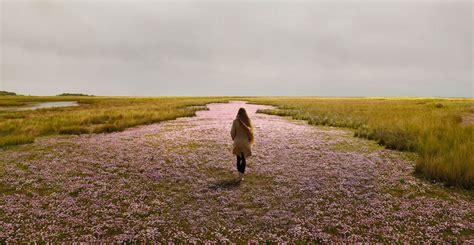 گالری عکس های اِلِن کویی از هلند