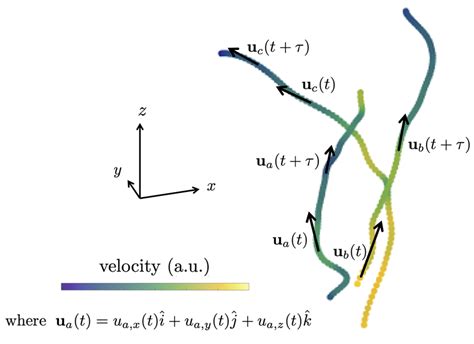 Schematic Of The Lagrangian Velocity Increment In A Cartesian Download Scientific Diagram
