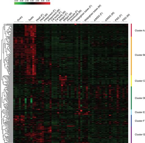 Genome Wide Identification And Expression Profiling Of The C2h2 Type