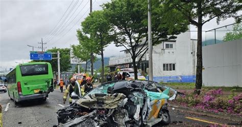 버스 들이받고 사망한 전기차 택시 기사추돌 직전 음주운전 사고 당해 버스 들이받고 사망한 전기차 택시 기사추돌 직전 음주운전 사고 당해
