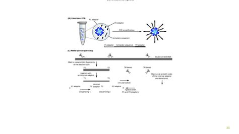 Next Generation Sequencing Strategiespptx