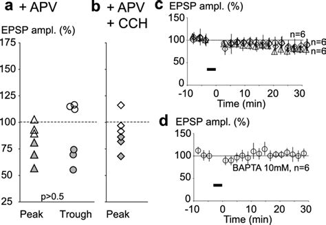 Synaptic Modifications Resulting From Peak And Trough Pairing During Download Scientific