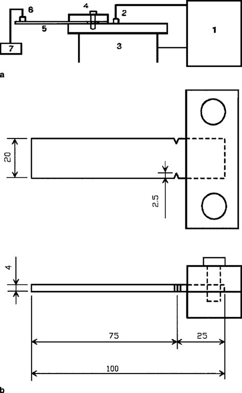A The Vibration Apparatus 1 Vibration Controller 2 Acceleration Download Scientific