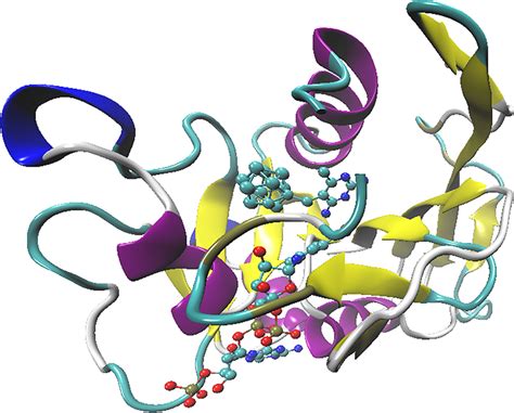 Crystal Structure Of Human Dihydrofolate Reductase In Complex With Download Scientific Diagram