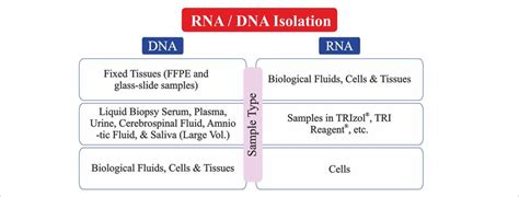 DNA RNA Isolation Kits Innova Life Tech