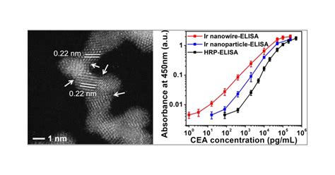 Ir And Pt Based Nanowires As Peroxidase Mimics For Detection Of Carcinoembryonic Antigen Acs