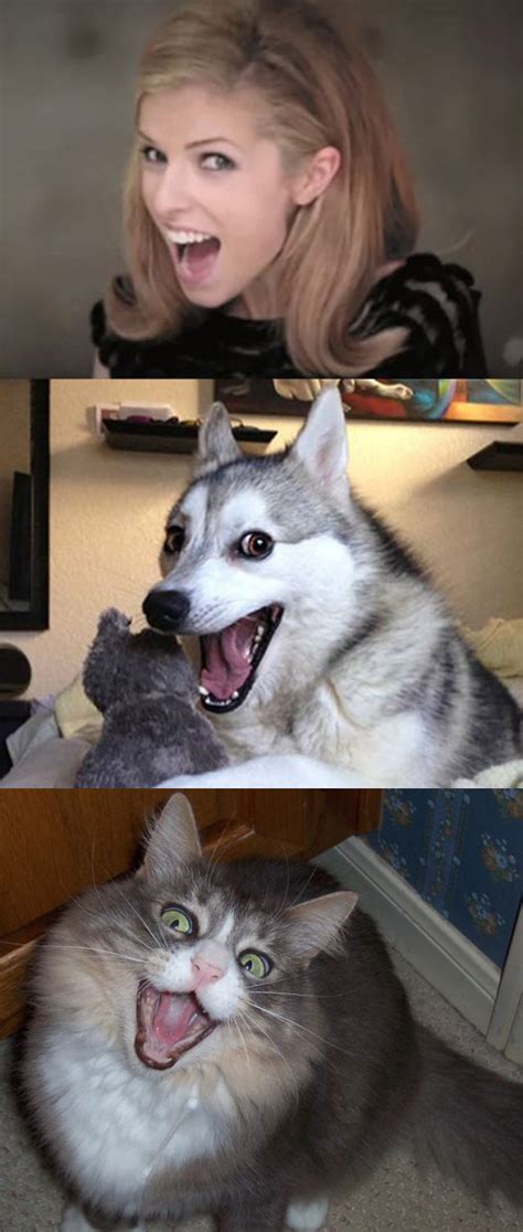 You Know What To Do Imgur Imgur