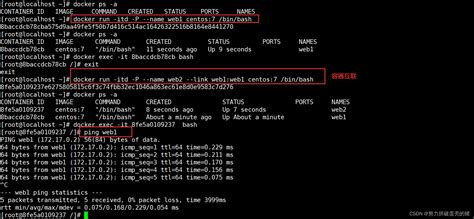 docker 的数据管理和镜像的创建（dockerfile） 构建带数据的docker镜像 csdn博客