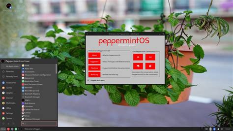 Peppermint Loaded A Fully Packed Edition For New Users