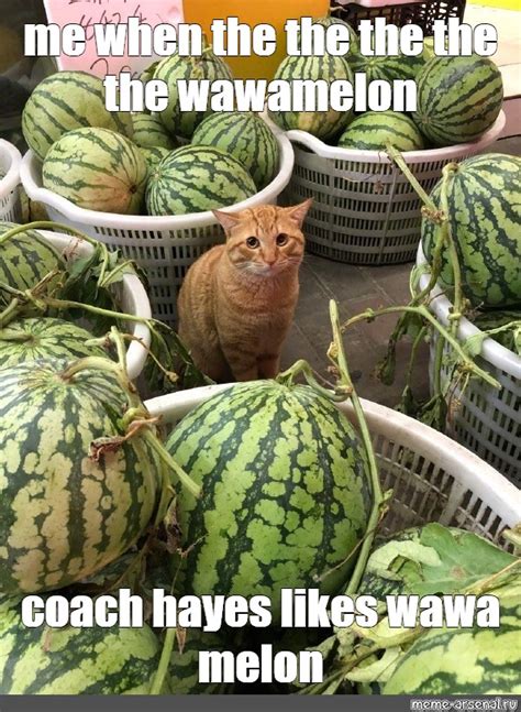 Watermelon Meme