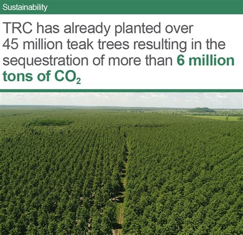 Know The Importance Of Carbon Sequestration To The Environment Trc