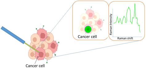 Nanotechnology In Cancer Diagnosis And Treatment