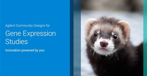 Agilent Diagnostics And Genomics Solutions On Linkedin Respiratorydisease Agilent Microarray