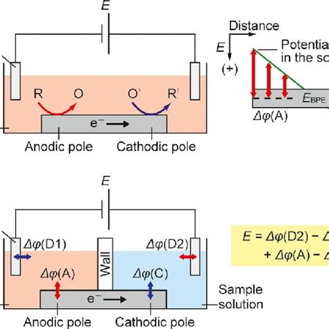 Principle Of DNA Detection On BPE With Illustrations Of The Download Scientific Diagram