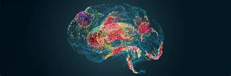 Stanford Brain Tumor Center Brain Tumor Center Stanford Medicine