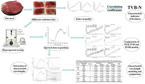 Non Destructive Prediction Of Yak Meat Freshness Indicator By Hyperspectral Techniques In The
