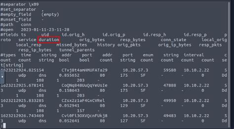 tryhackme zeek exercises — task 1 introduction and task 2 anomalous dns