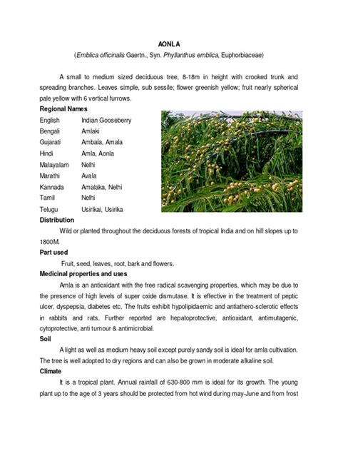 Aonla Pdf Legume Trees