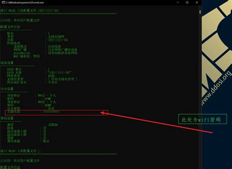 Wifi密码导出工具电脑wifi账号密码查看工具 🔰雨苁ℒ🔰