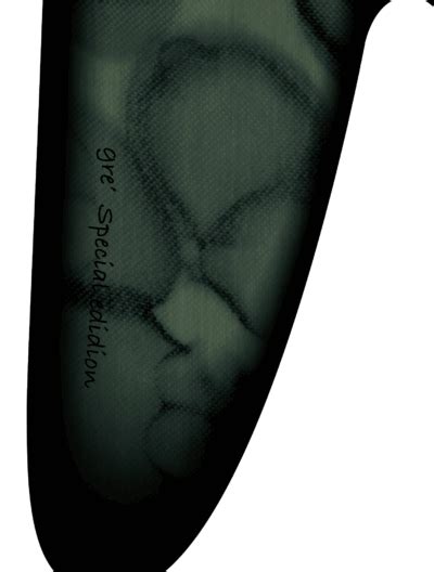 Tj Brand Catamaran V 170 Gré｜青森市東大野のセレクトショップ