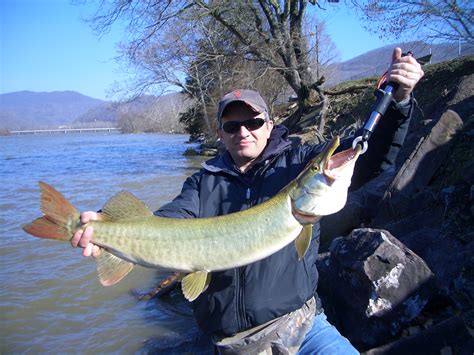 Cimg1840  Photo Keith Withrow Photos At