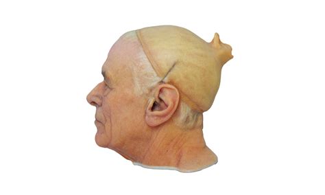 Polyjet 3d Printed Full Color Elder Man Head Miniature Facfox