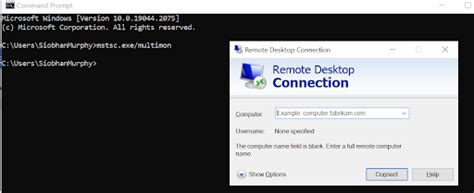 Mastering Remote Desktop Multi Monitor Productivity