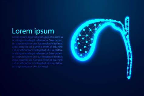 췌장 이미지 Freepik에서 무료 다운로드
