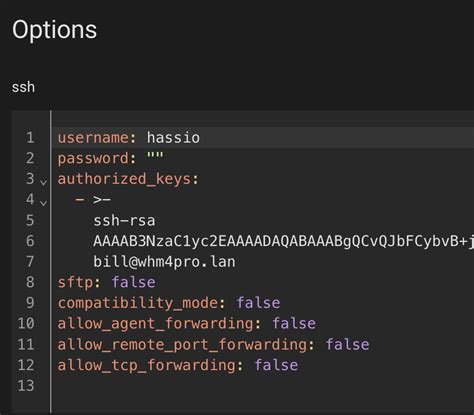 Cannot Add Multiple Keys In Config For Advanced Ssh And Web Terminal