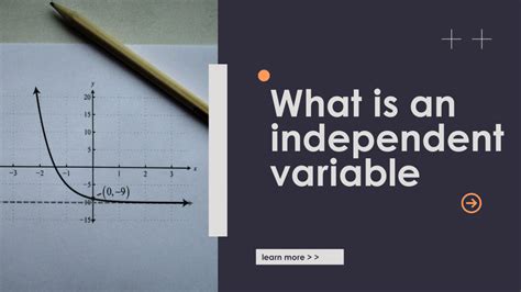 What Is An Independent Variable