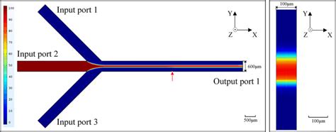 Simulation Of Hydrodynamic Focusing A There Are Three Input Ports