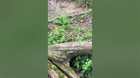 Imagine Part 6 Youtube