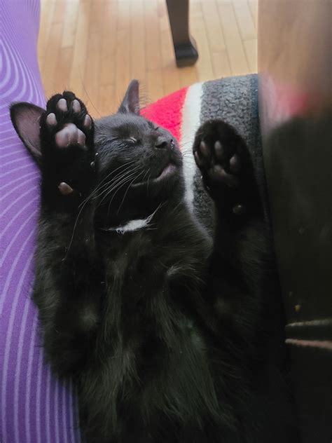 Little Muds Toe Beans Rtoebeans Little Muds Toe Beans Rtoebeans
