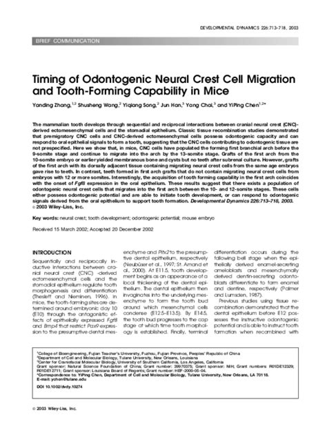 Pdf Timing Of Odontogenic Neural Crest Cell Migration And Tooth Forming Capability In Mice