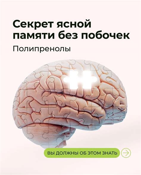 СИМБИОНТЫ академика КУТУШОВА | ICDMC | Раскрываем секрет молодости в ...