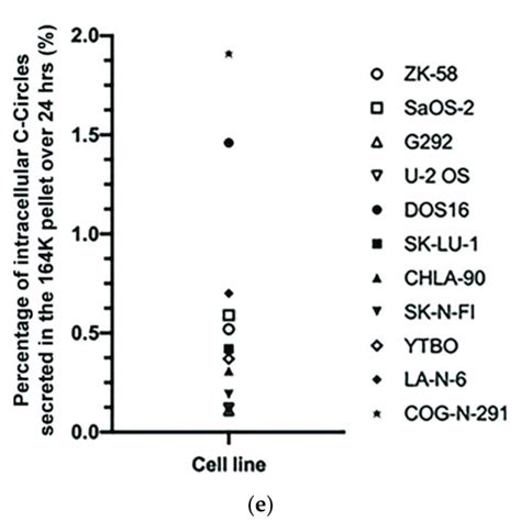 Purification Of The Exosomes By Iodixanol Density Gradient Separation